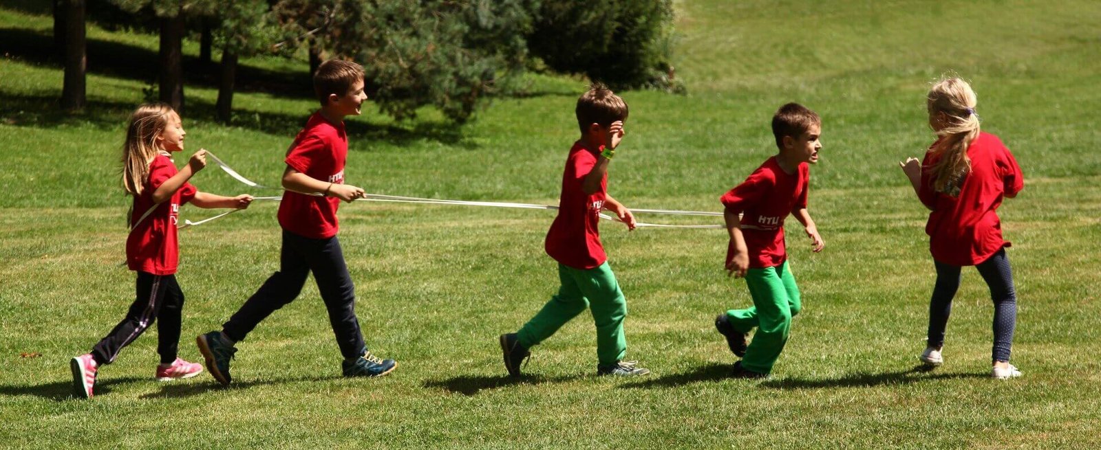 Lipovac | NTC Learning